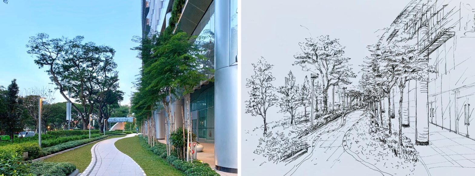 Drawing and Sketching Online Zoom Class for Adult and Teenagers