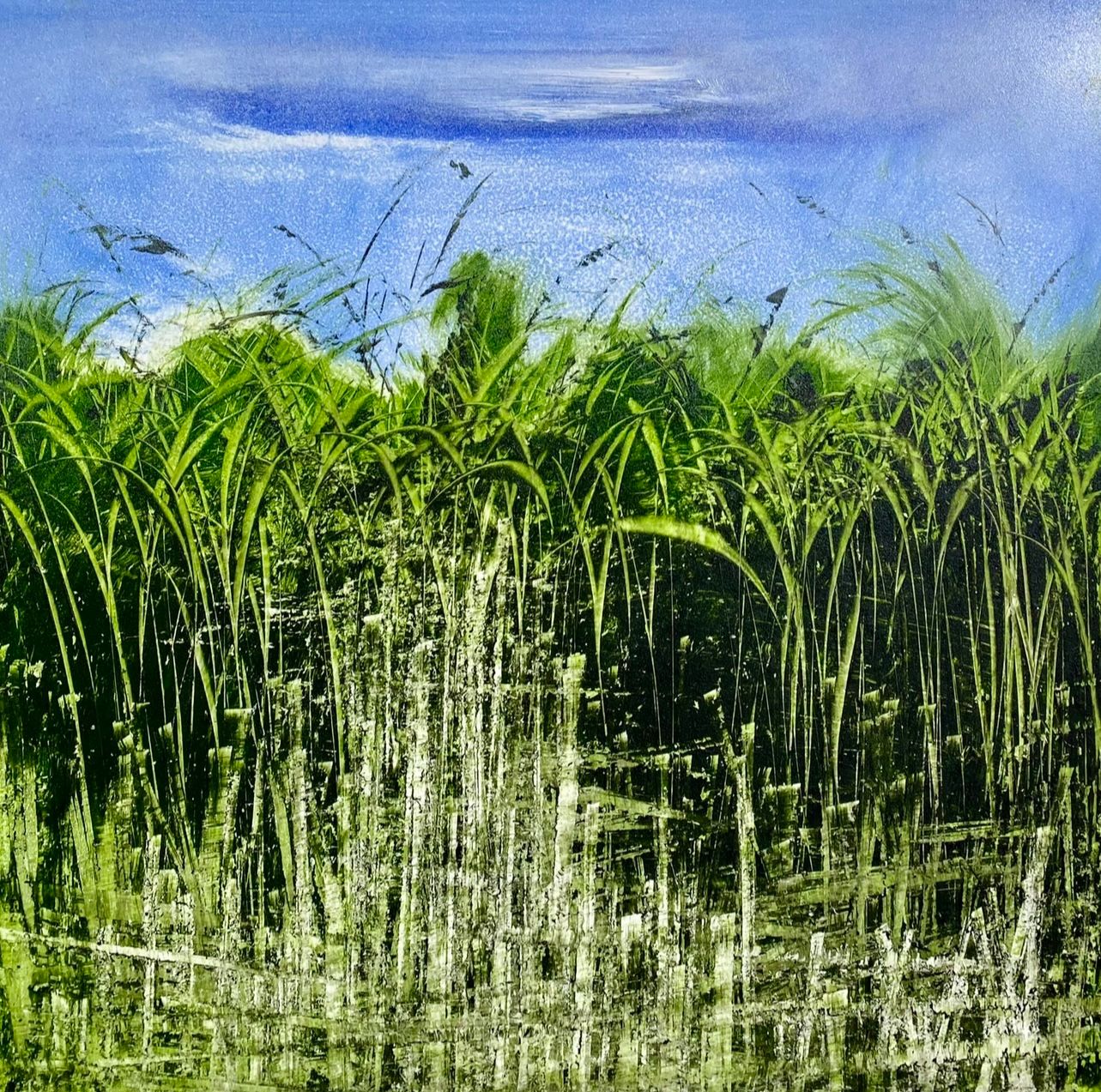 Art Exhibition by Allen Tang - Visual Arts Centre
